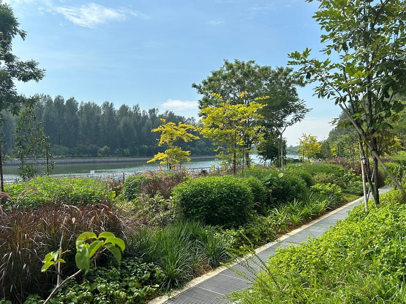 Stories | Punggol Digital District